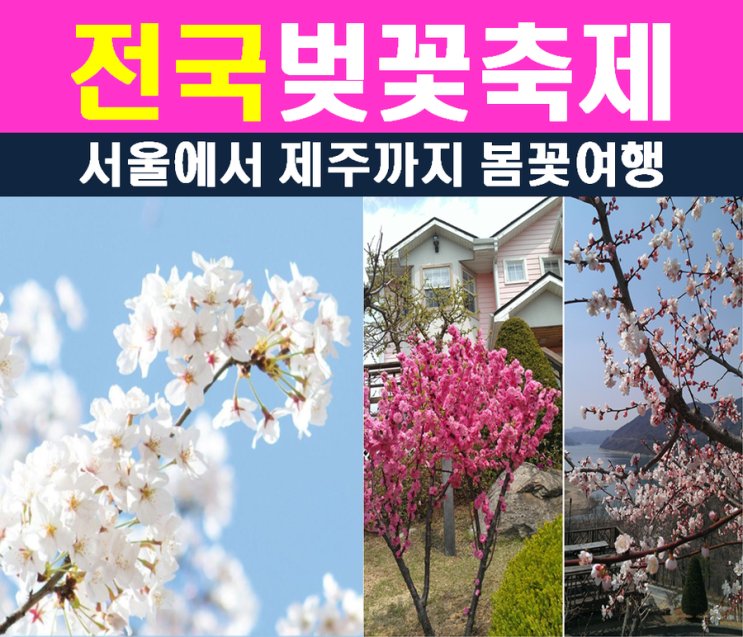 2022년 전국 벚꽃축제 벚꽃여행 총정리 행사장 지도 행사정보 행사기간 2022 벚꽃예정 2022년 벚꽃개화
