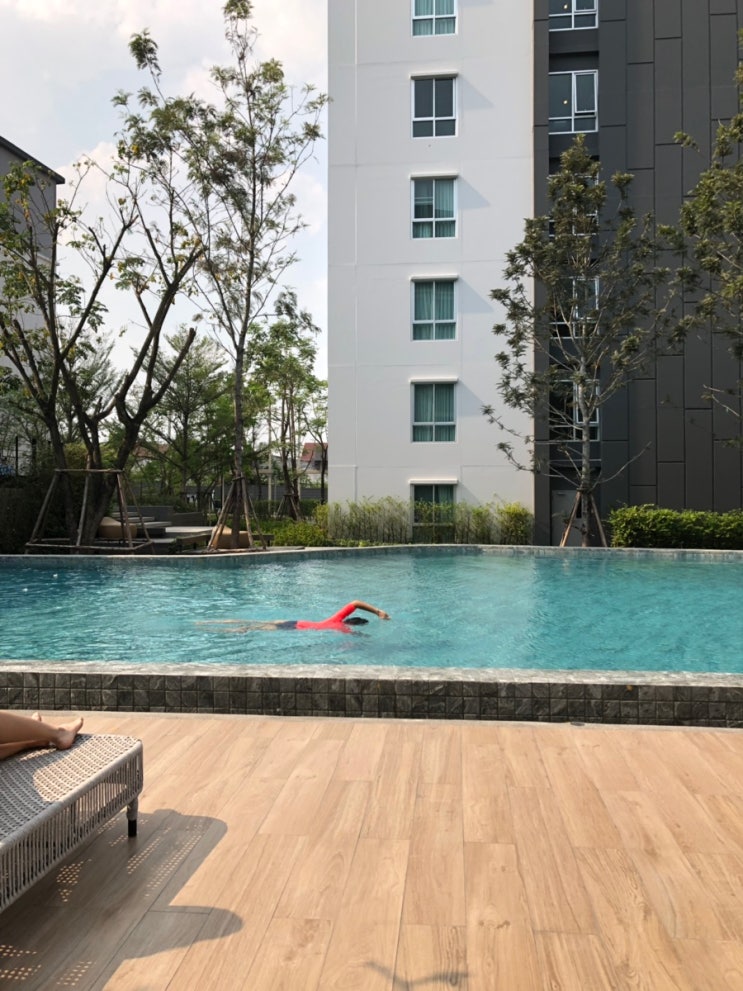 D condo ping[태국 치앙마이 디콘도핑] / 센트럴페스티벌 : 네이버 블로그