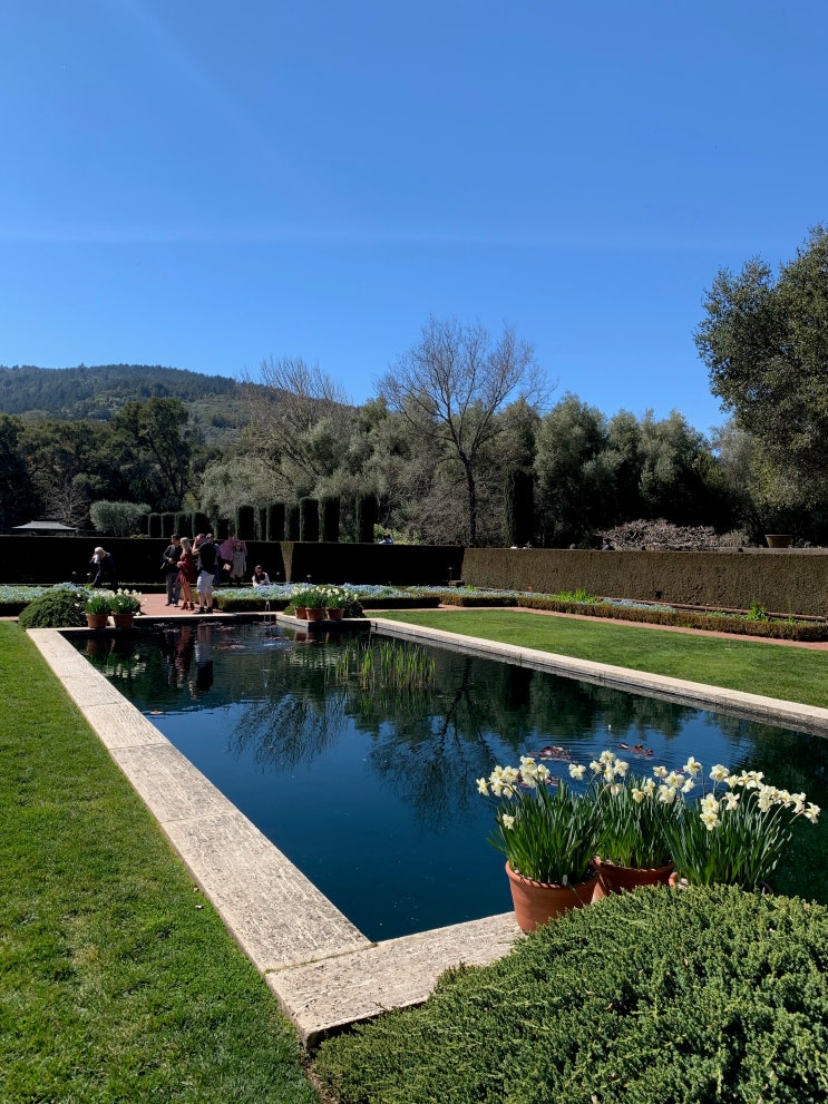 봄의 향기가 가득한 대저택, Filoli : 네이버 블로그