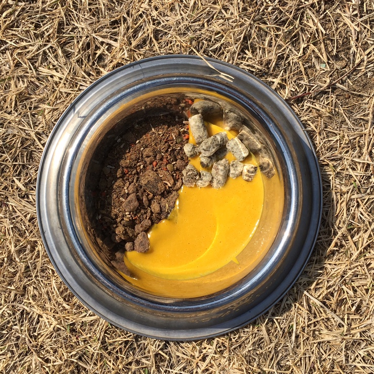 K9 Beef Greentripe Booster을 토핑으로! : 네이버 블로그