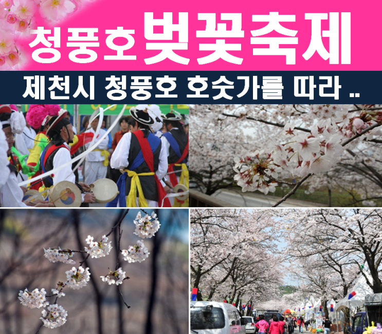 충북 제천시 2022년 청풍호벚꽃축제 24회 가는길 위치 주소 벗꽃 벚꽃여행 봄꽃여행 제천 청풍호 벚꽃축제 가까운