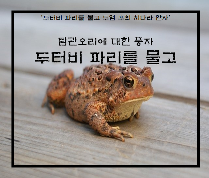 두터비 파리를 물고 사설시조 네이버 블로그