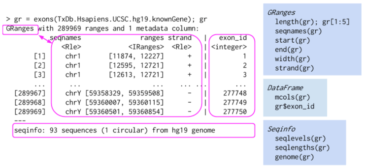 GenomicRanges : 네이버 블로그