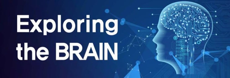 Exploring the BRAIN - 2019 BSI Lecture : 네이버 블로그