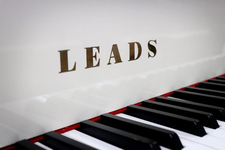 중고그랜드피아노? 디자인과 가성비를 동시에 잡은 LEADS(리즈) L152 피아노를 소개합니다. : 네이버 블로그