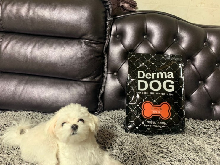 🐶 Derma DOG 더마독 #애견사료추천 #강아지 피부/모질 사료 후기 : 네이버 블로그