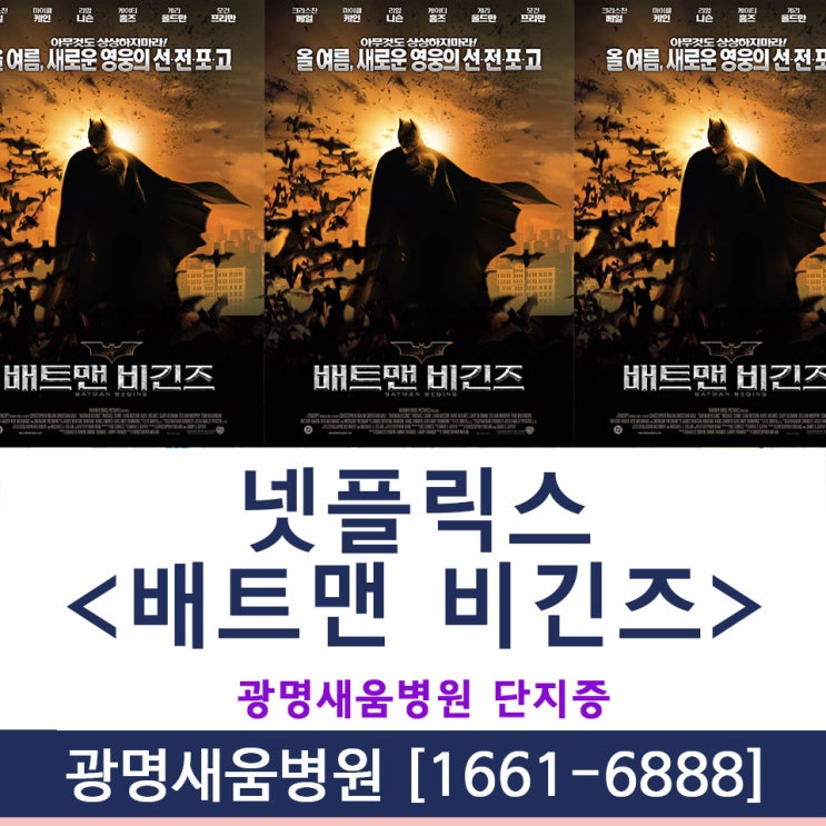넷플릭스로 배트맨 비긴즈, 다시보니 잼있어요 : 네이버 블로그