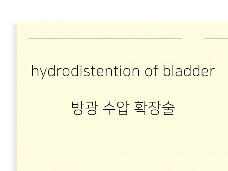 UR hydrodistention of bladder 방광 수압 확장술 : 네이버 블로그