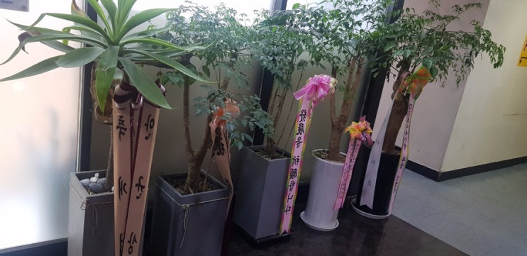 서울에 화분버리기 대행업체화분폐기 대신해주는 곳 입니다 네이버 블로그
