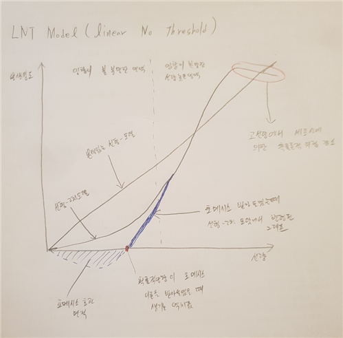 LNT가설 - 확률론적영향 : 네이버 블로그