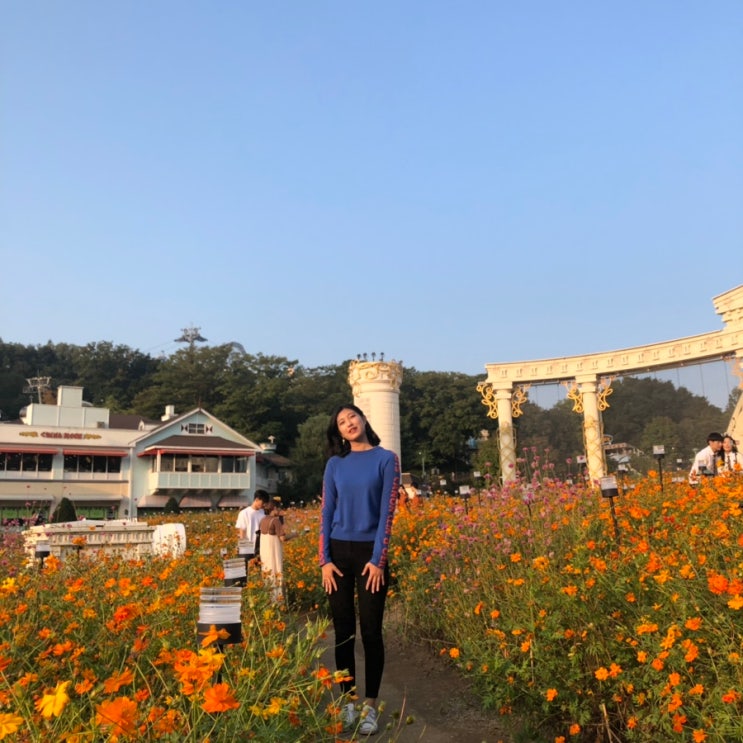 [용인] 에버랜드 가다 (레드앤그릴/슈퍼버드/호러사파리/블러드시티) : 네이버 블로그