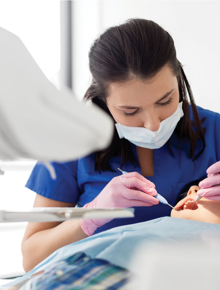 [특집] 국산 MTA, 신 경쟁시대 돌입! : 네이버 블로그