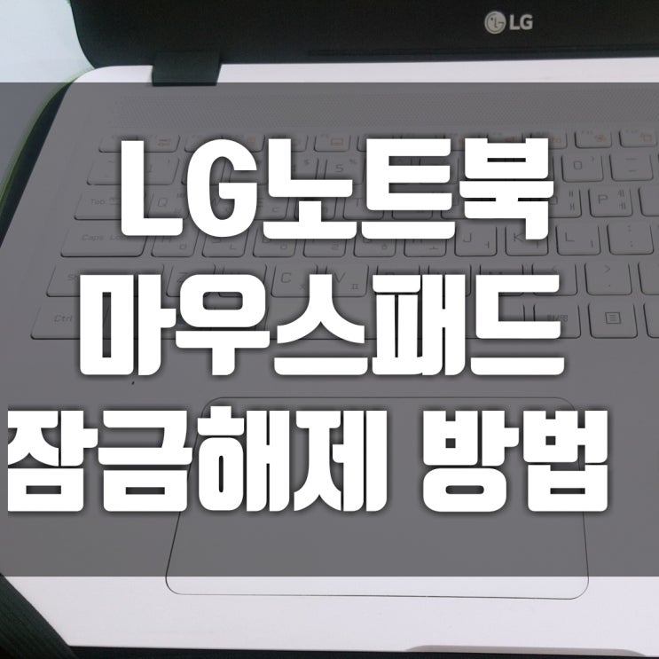 Lg노트북마우스패드 잠금해제 방법 F5도 안될때 간단하게 해결하기 네이버 블로그