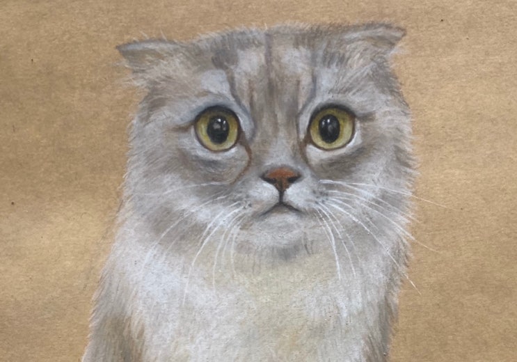 [반려묘그리기]왕초보취미미술아트콜라보랩 문래점|| 스코티쉬폴드 반려묘별이그리기>,