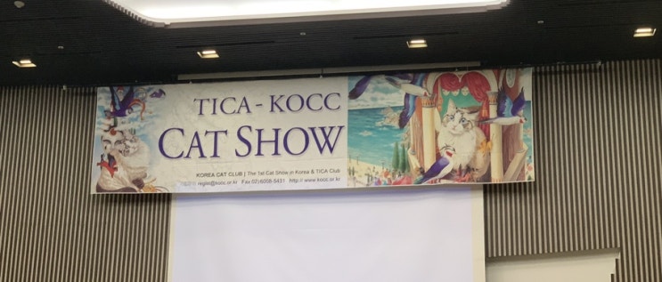 10월 6일 TICA-KOCC 캣쇼 후기 : 네이버 블로그