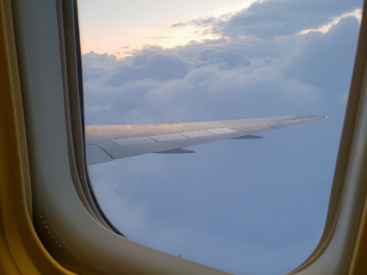 김포공항 제주공항 비행기 탑승수속 빠르게 하는 방법 바이오등록 완료 네이버 블로그