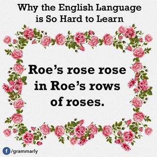 Different pronunciation of the word "rose" as subject and verb. : 네이버 블로그