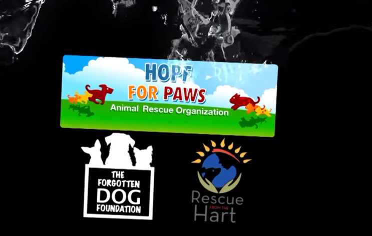 유튜브(YouTube) 채널 추천 HOPE FOR PAWS animal rescure organization 강아지 동물 구조 ...