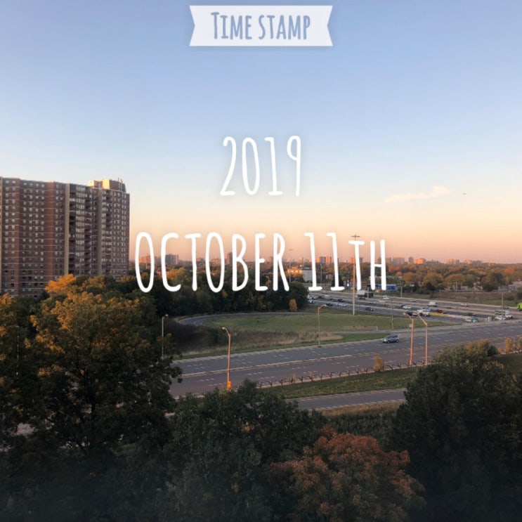 [D-16] : 네이버 블로그