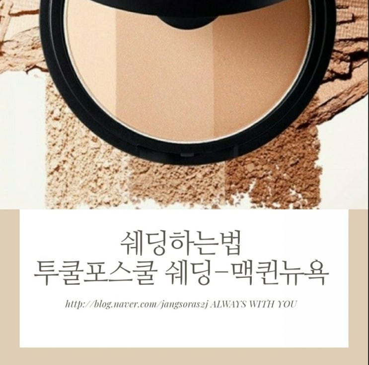 투쿨포스쿨 쉐딩 그리고 맥퀸뉴욕을 활용한 쉐딩하는법 네이버 블로그