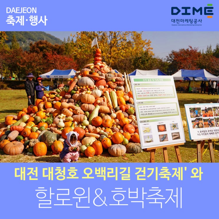 함께해서 더 좋은 대청호 오백리길 걷기축제 와 할로윈and호박축제 네이버 블로그