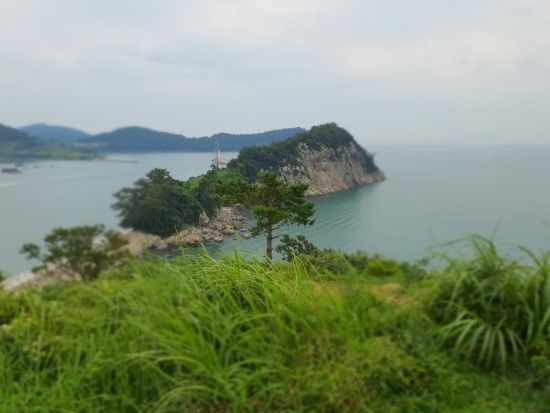 고흥 나로도 여행 시간이 멈춘 힐링파크 쑥섬 별정원이야기 전북힐링캠프 전주희망산악회 전주토요일산악회 전주산악회 전주