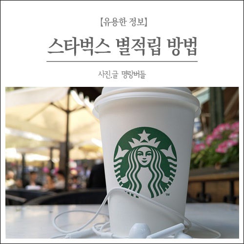 스타벅스 별 적립방법 최소결제금액 확인하세요 네이버 블로그