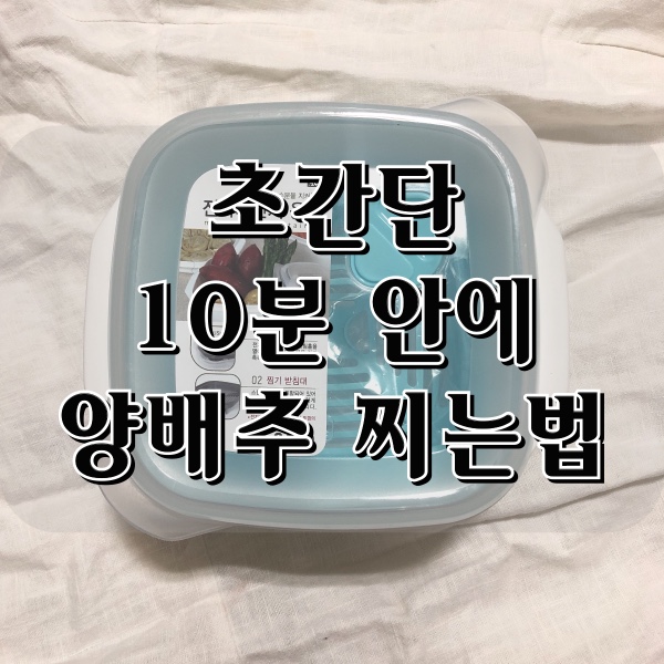 양배추 찌는법삶는법 완전 초간단하게 양배추 쌈 먹자 Feat다이소 전자레인지 용기 네이버 블로그