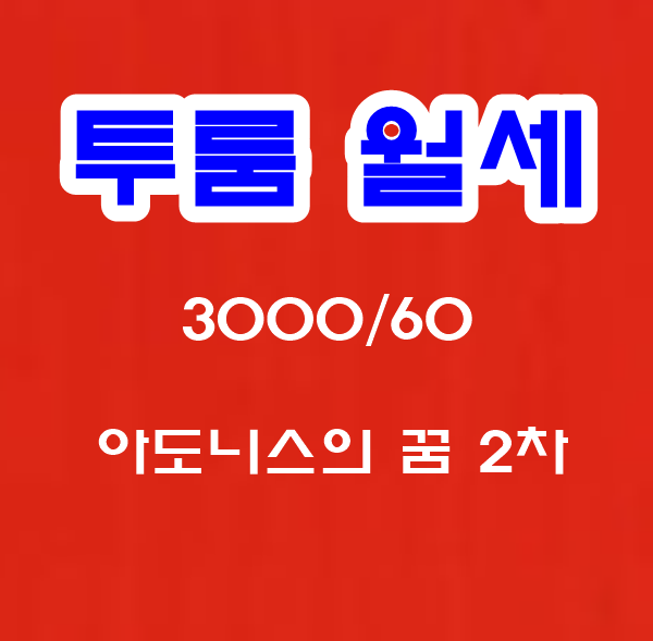 풍무동 투룸 복층형 오피스텔 아도니스의꿈2차★풍무역오피스텔풍무 아도니스의꿈 2차 웰라움퍼펙트부동산 네이버 블로그