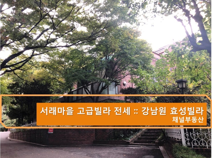 서래마을 고급빌라 렌트·전세 단지내 숲세권으로 쾌적한 단독정원세대 「강남원 효성빌라」 네이버 블로그