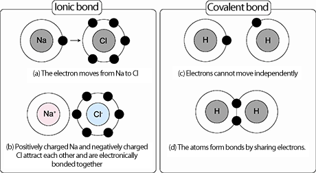 Ionic bond VS Covalent bond: 이온 결합과 공유 결합의 차이 : 네이버 블로그