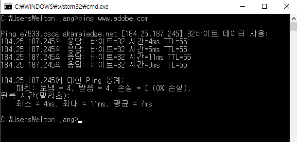 ping 명령어 - 네트워크 상태 점검, 도메인 IP 확인 : 네이버 블로그