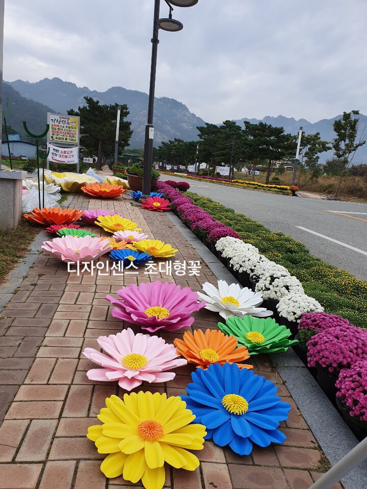 디자인센스 초대형꽃 영암군 월출산 국화축제 기찬랜드 아치꽃 에바폼꽃 자이언트플라워 서민갑부꽃 조명숙플라워 야외꽃장식 얼굴포토존