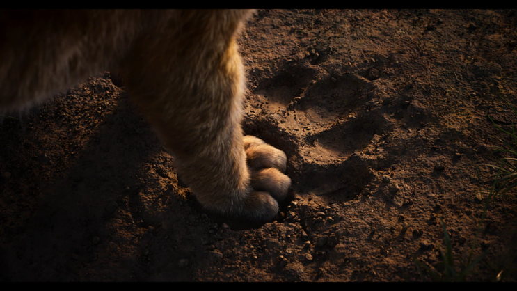 라이온 킹 (the Lion King, 2019) : 실사와 애니의 경계 : 네이버 블로그