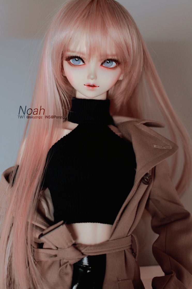 노아 :: 리틀모니카 사루비아 : 네이버 블로그