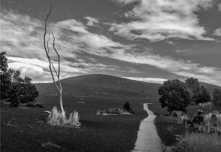 황폐지 트레일(荒廢地, Devastation Trail), Hawaii Volcanoes National Park, Big ...