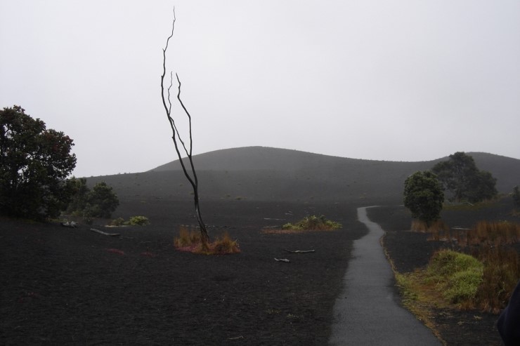 황폐지 트레일(荒廢地, Devastation Trail), Hawaii Volcanoes National Park, Big ...