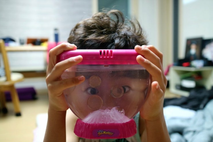 토이저러스 씨몽키 키우기 : 네이버 블로그