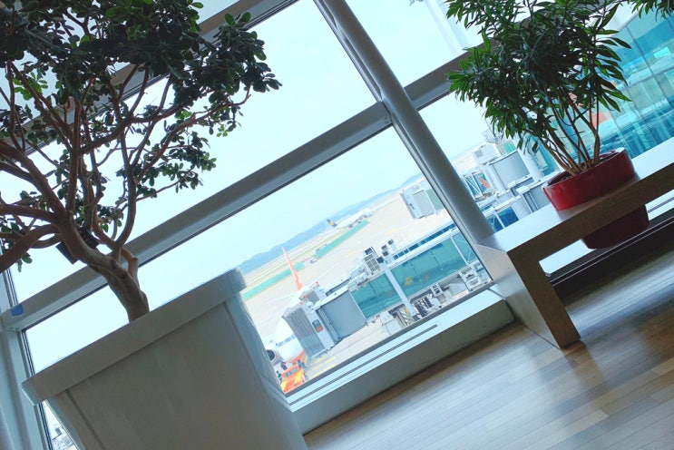 런던 파리 여행 1일차 루프트한자 뮌헨 경유 면세점 쇼핑 런던 히드로 공항 입국심사 Lte급 네이버 블로그