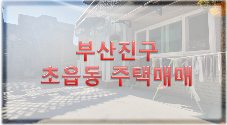 부산진구초읍동주택 마당넓은 부산진구초읍동주택 네이버 블로그