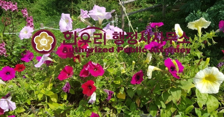 자동차 공동명의자 사망으로 차량 상속 이전 분쟁 네이버 블로그
