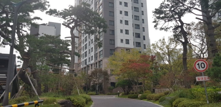 로또급 상승 과천 래미안 센트럴 스위트 7단지 아파트정보 네이버 블로그