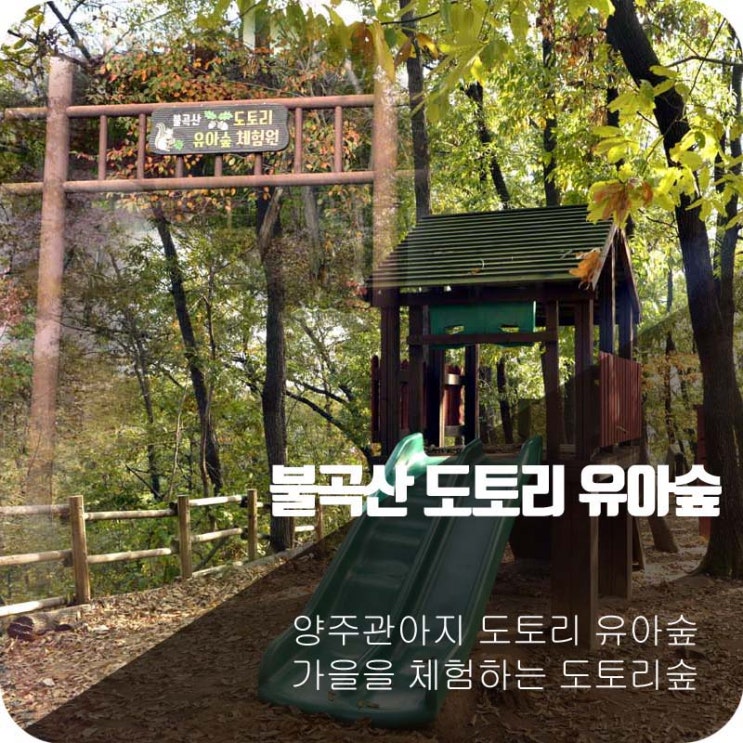 숲으로 힐링하러 가요~ 불곡산 도토리 유아숲 체험원에서 즐기는 단풍놀이 네이버 블로그