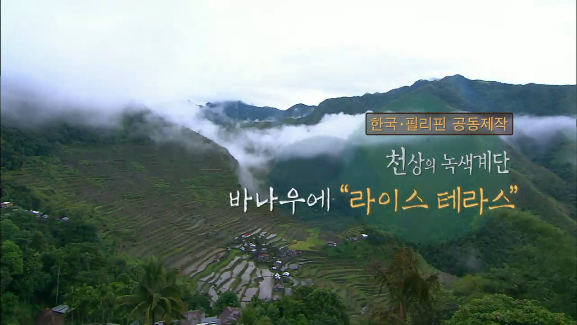 Ebs 다큐프라임 천상의 녹색 계단 바나우에 라이스 테라스 세계 8대 불가사의 유네스코 필리핀 네이버 블로그