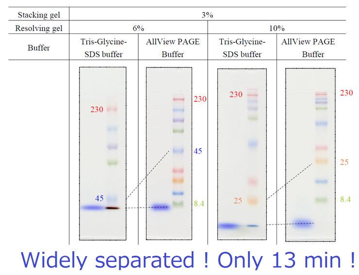 [Say "Goodbye" to gradient gel !!/Gradient gel 대체 기능성 버퍼] AllView PAGE ...