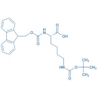 Fmoc-Lys(Boc)-OH [4003151/B-1080][CAS no. 71989-26-9]_Bachem - 코아사이언스 ...