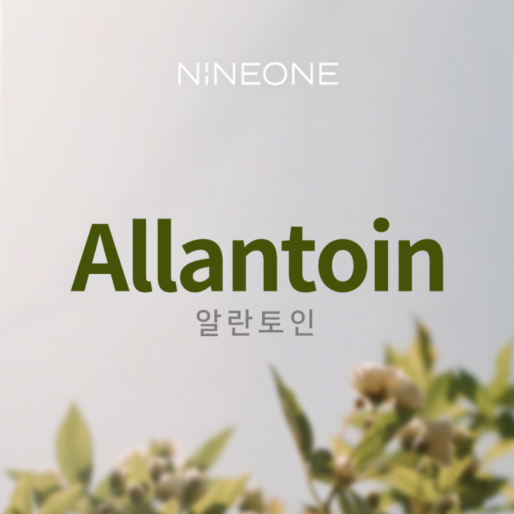 화장품성분사전 알란토인 Allantoin 네이버 블로그