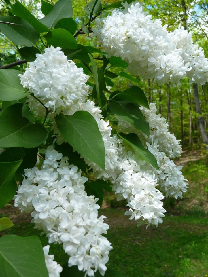 [1년 전 오늘] 존경하는 아버지의 발자취를 따라서(2) : 네이버 블로그