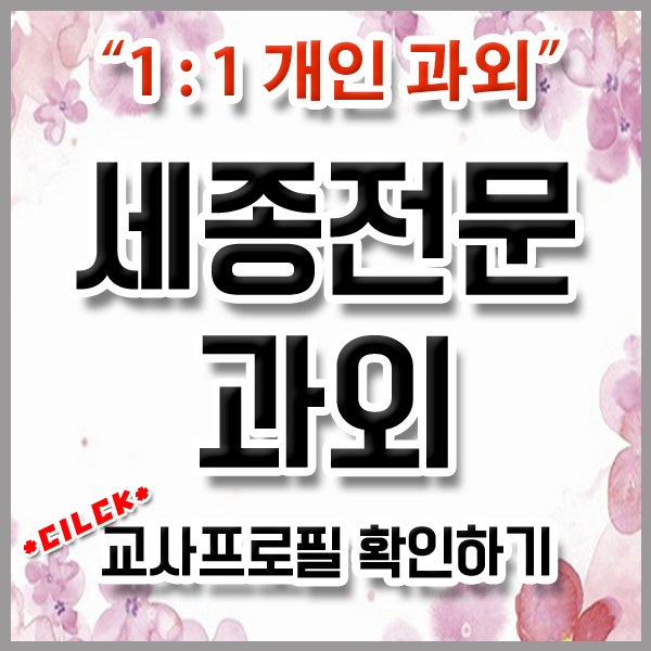세종시 첫마을 수학과외예비중학생 예비고등가락마을 영어과외 방문수업 잘가치는개인과외선생님 네이버 블로그