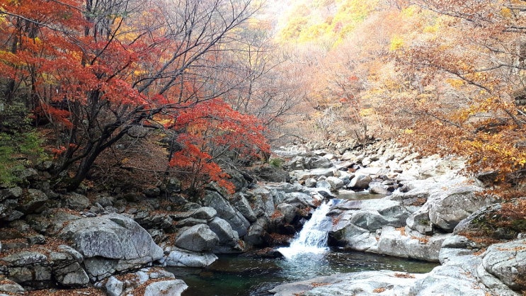 지리산 뱀사골 계곡 가을 풍경, 성삼재 ~ 뱀사골탐방센터 : 네이버 블로그